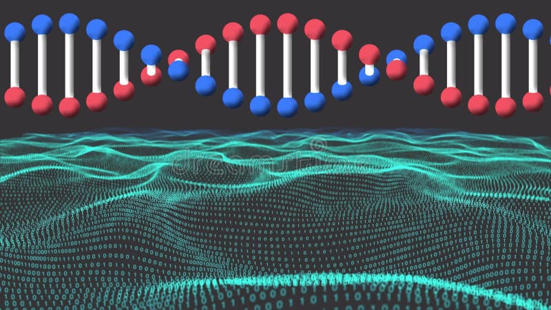 Animation of Dna Strand and Green Binary Coding Data Processing Stock ... Animation of Dna Strand and Green Binary Coding Data Processing Stock ...