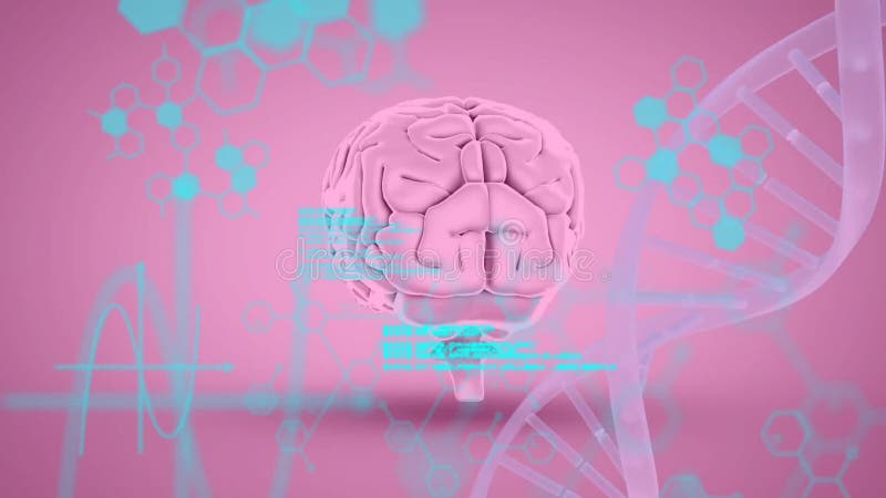 Animation of Dna Strand, Human Brain and Scientific Data Processing ...