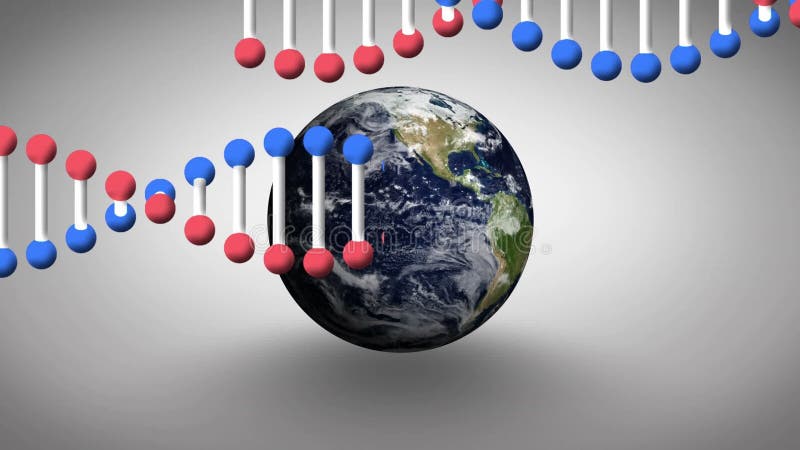 Animation of Dna Strand Over Earth Globe on Grey Background Stock ...