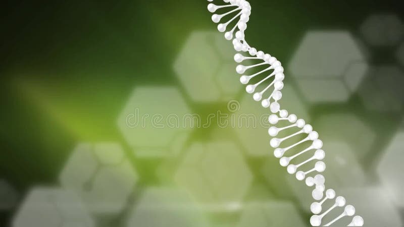 Animation of Dna Strand Over Hexagons on Green Background Stock Video ...