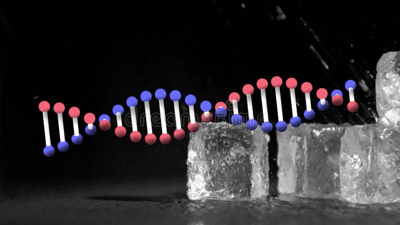Animation of Dna Strand Over Ice Cubes on Black Background Stock ...