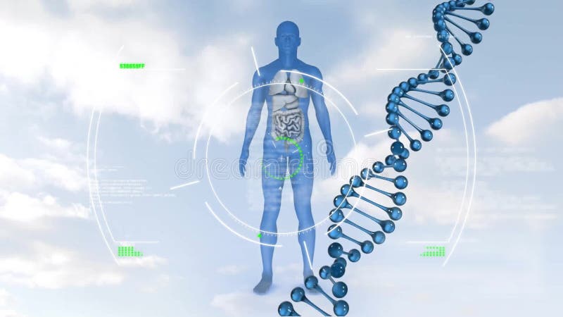 Animation of Dna Strand, Skeleton and Scientific Data Processing Stock ... Animation of Dna Strand, Skeleton and Scientific Data Processing Stock ...