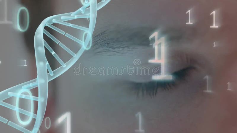 Animation of Dna Strand Spinning, Binary Coding Over Caucasian Man Face Stock Footage - Video of ...