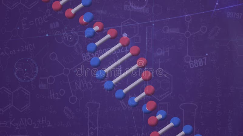 Animation of Dna Strand Spinning and Data Processing on Purple ...