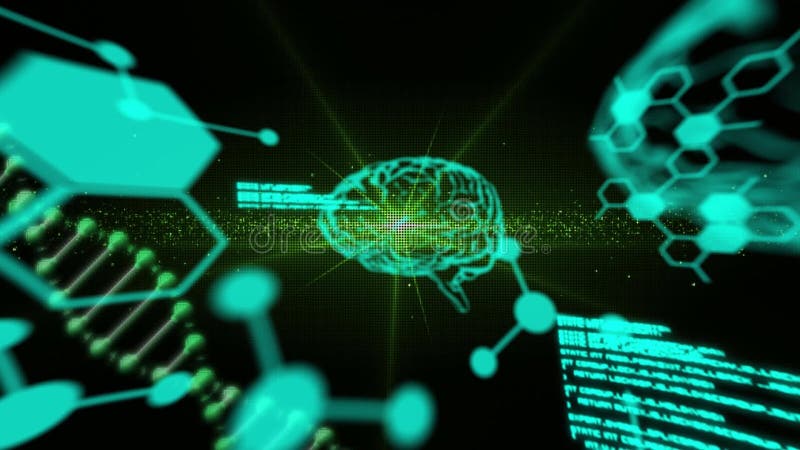 Animation of Dna Strand Spinning, Human Brains and Data Processing ...