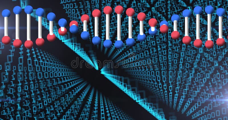 Animation of Dna Strand Spinning Over Binary Code Stock Video - Video ... Animation of Dna Strand Spinning Over Binary Code Stock Video - Video ...
