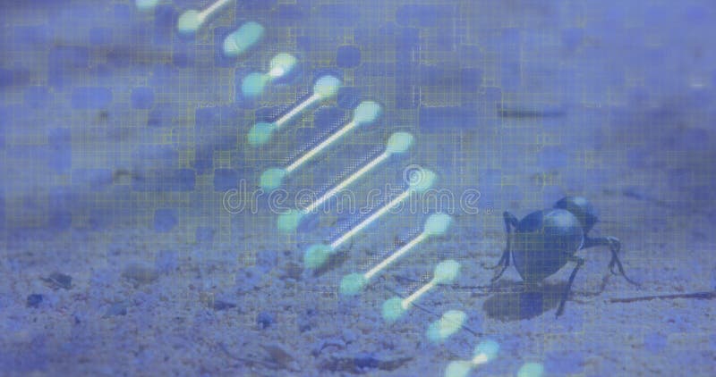 Animation of Dna Strand Spinning Over Bug Stock Footage - Video of ...