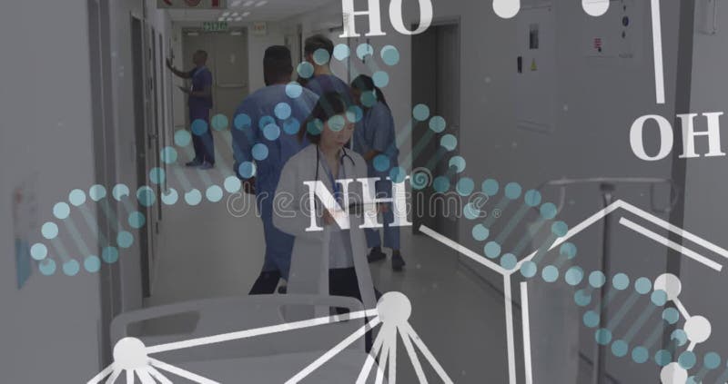 Animation of Dna Strands and Data Processing Over Doctors in Hospital ...