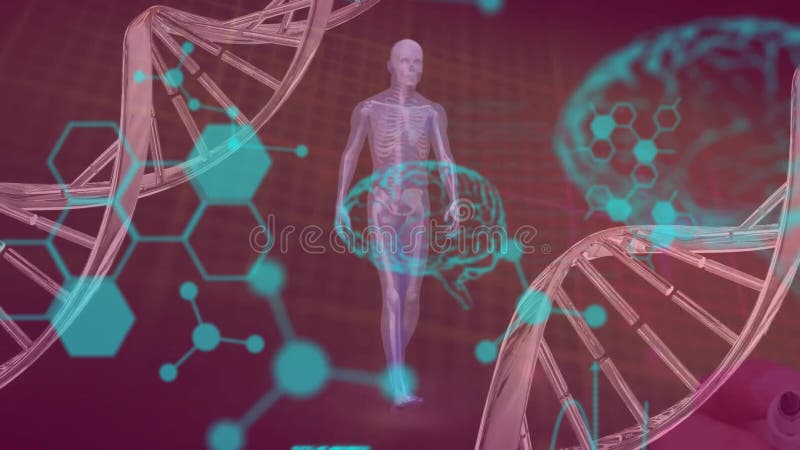 Animation of Dna Strands, Human Brains and Scientific Data Processing ...