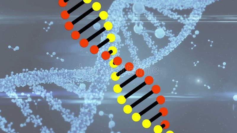 Dna Mutation Animation