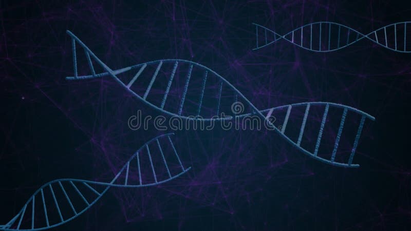 Animation of Dna Strands Over Network of Connections on Black ...