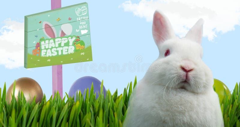 Animation of Easter Bunny with Happy Easter and Egg Hunt Text on Board ...