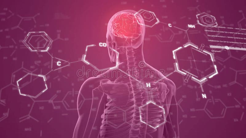 Animation of Element Diagrams Over Male X Ray Scan with Glowing Brain ... Animation of Element Diagrams Over Male X Ray Scan with Glowing Brain ...
