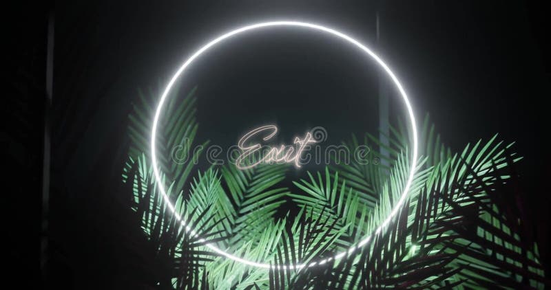 Animation of Exit Text Over Neon Frame and Tropical Leaves on Black ...