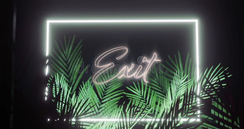 Animation of Exit Text Over Neon Shape and Leaves on Black Background ...