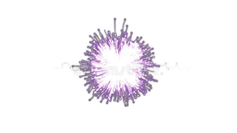 Animation of Exploding Pink Firework on White Background Stock Video ...