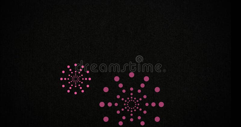 Animation of Exploding Pink Fireworks on Black Background Stock Footage ...