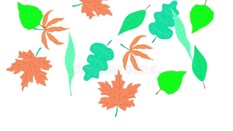 Animation of Falling Autumn Leaves. Transparent Background. Alpha ...