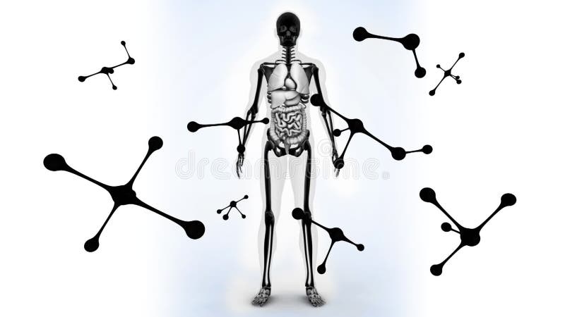 Animation of Falling Molecules Over Human Body Model Stock Video ...