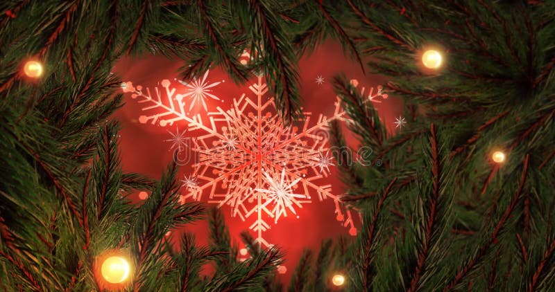 Animation of Fir Tree Frame Over Snowflake Stock Video - Video of ...