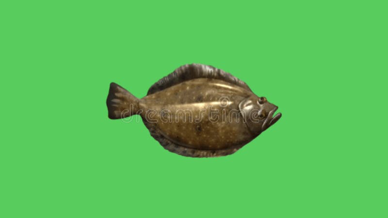 Animation Fish Jumping on Green Background. Stock Video - Video of ...
