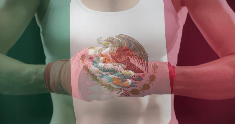 Animation of Flag of Mexico Over Caucasian Female Boxer Stock Video ... Animation of Flag of Mexico Over Caucasian Female Boxer Stock Video ...