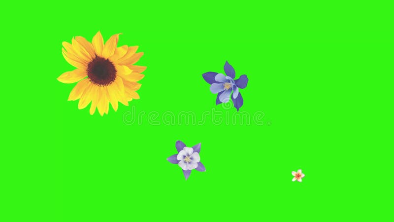 Animation of Flowers on Green Screen, Graphic Source Element Stock ...