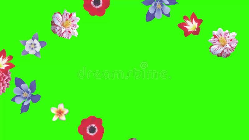 Animation of Flowers on Green Screen, Graphic Source Element Stock ...