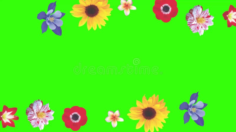 Animation of Flowers on Green Screen, Graphic Source Element Stock ...