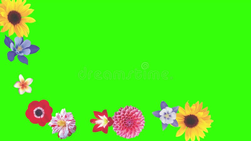 Animation of Flowers on Green Screen, Graphic Source Element Stock ...