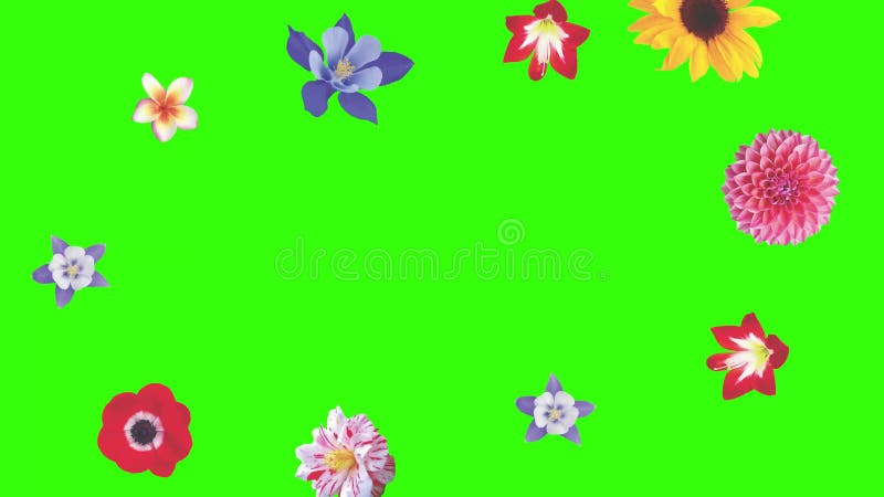 Animation of Flowers on Green Screen, Graphic Source Element Stock ...