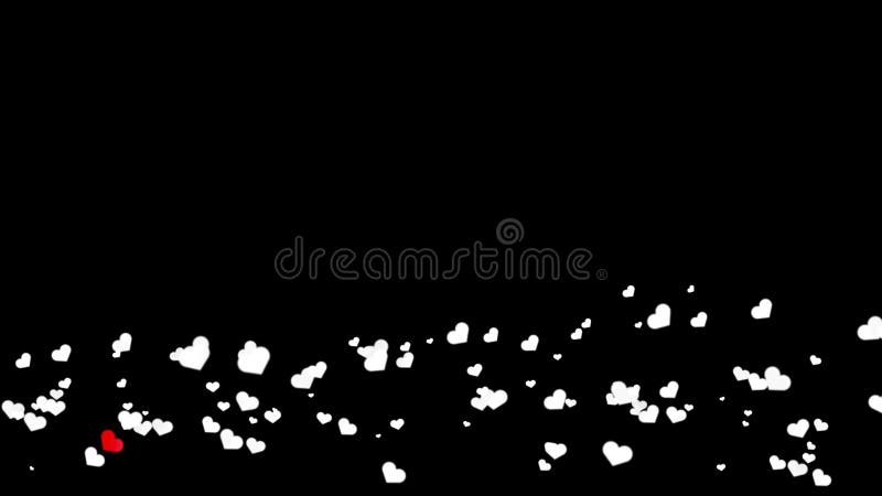 Animation of Flying White Hearts in the Wind at the Bottom. Overlay ...