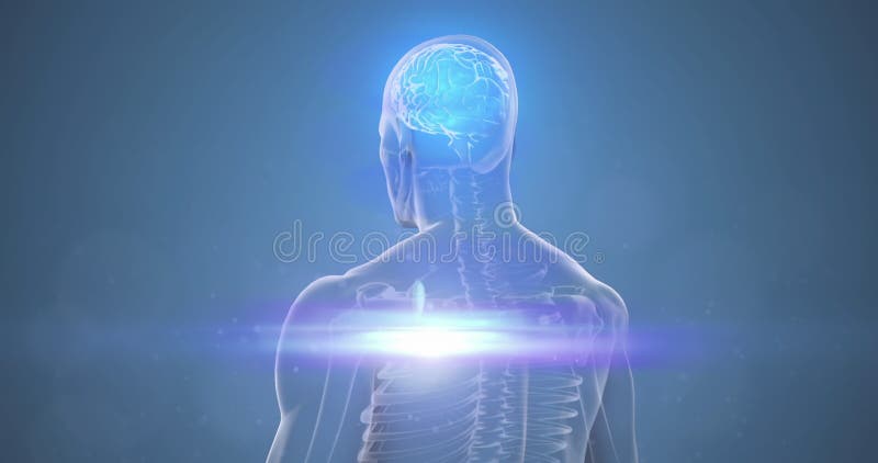 Animation of Glowing Light Over Human Body with Brain Stock Footage ...