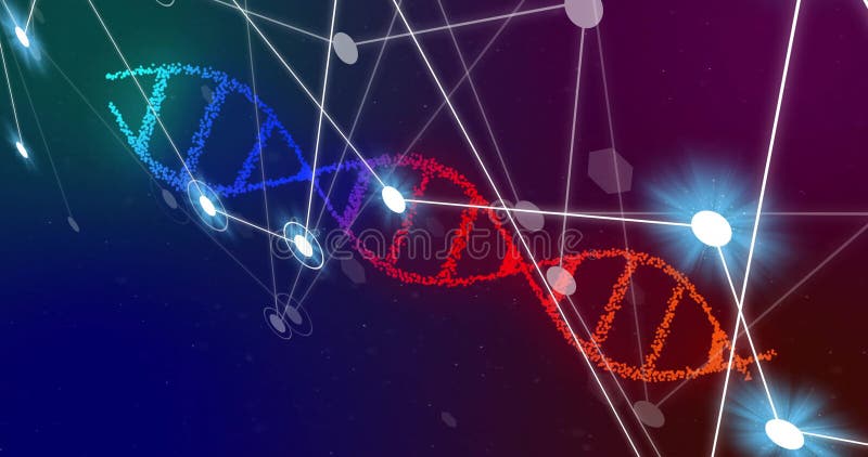 Animation of Glowing White Network of Connections Over Dna Strand on ...