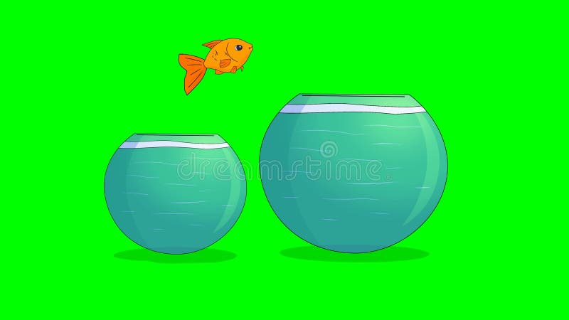 Animation of a Goldfish Jumping through Aquariums. 2D Green Screen ...