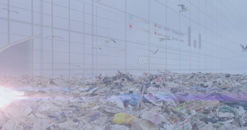 Animation of Grid Pattern with Graphs Moving and Birds Flying Over ...