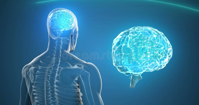 Animation of Human Body and Human Brain Spinning on Blue Background ...