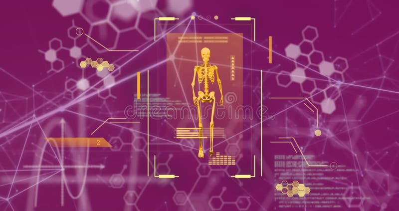 Animation of Human Body Scanning and Scientific Data Processing Stock ...