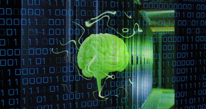 Animation Of Human Brain And Binary Coding Data Processing Over Computer Servers Stock Video