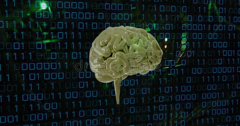 Animation Of Human Brain And Binary Coding Data Processing Over Computer Servers Stock Footage