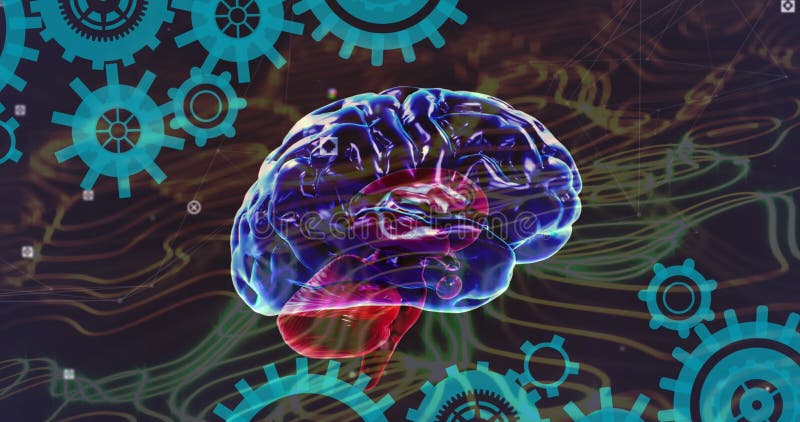 Animation of Human Brain, Cogs and Data Processing and Network of ...