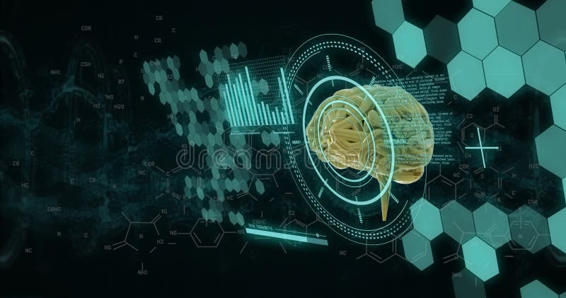 Animation of Human Brain and Digital Data Processing Over Black ...