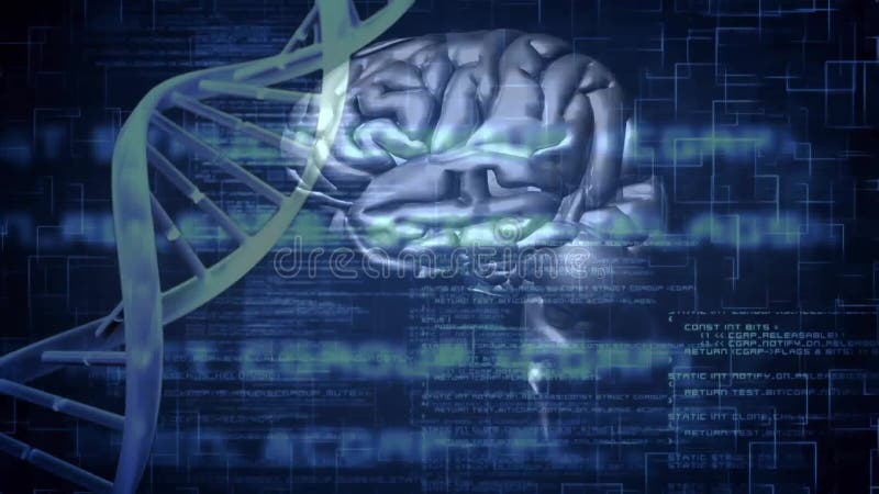 Animation of Human Brain, Dna Strand and Data Processing Stock Footage ...