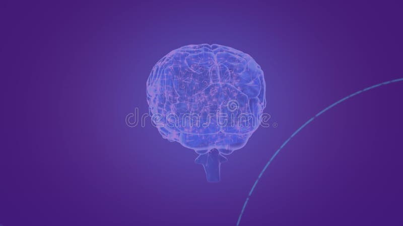 Animation of Human Brain and Mathematical Data Processing Stock Video ...