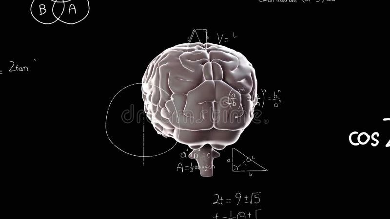 Animation of Human Brain and Mathematical Data Processing on Black ...