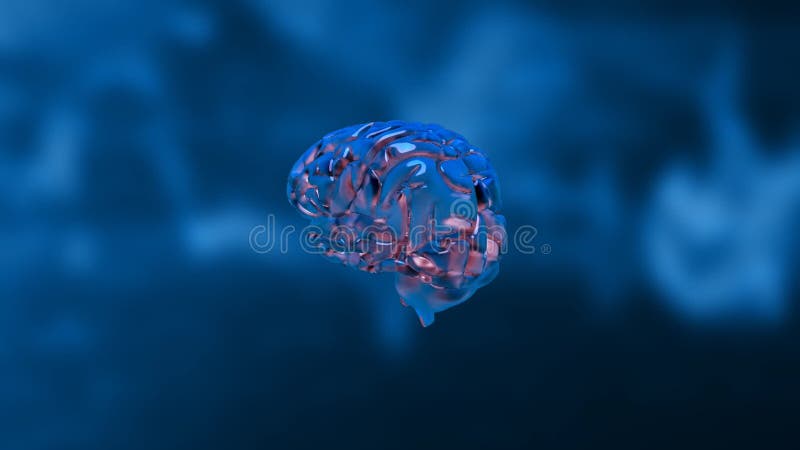 Animation of Human Brains and Scientific Data Processing Over Man ...