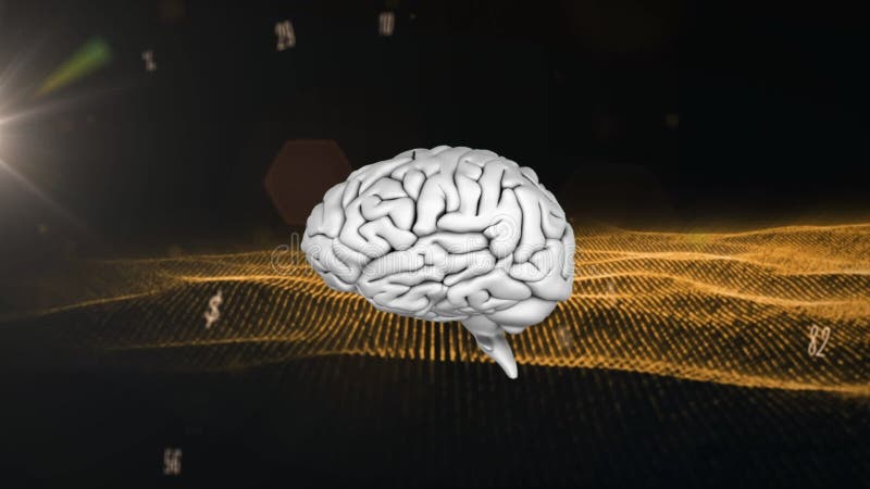 Animation of Human Brain and Numbers Processing Stock Video - Video of ...