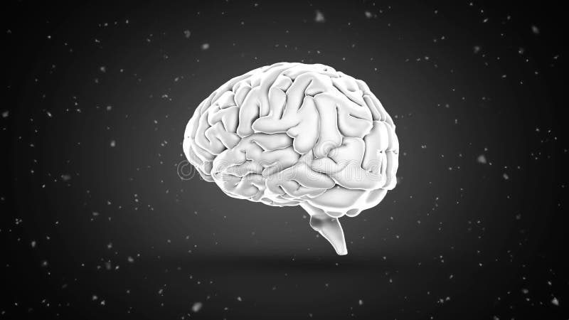 Animation of Human Brain and Particles on Black Background Stock ...
