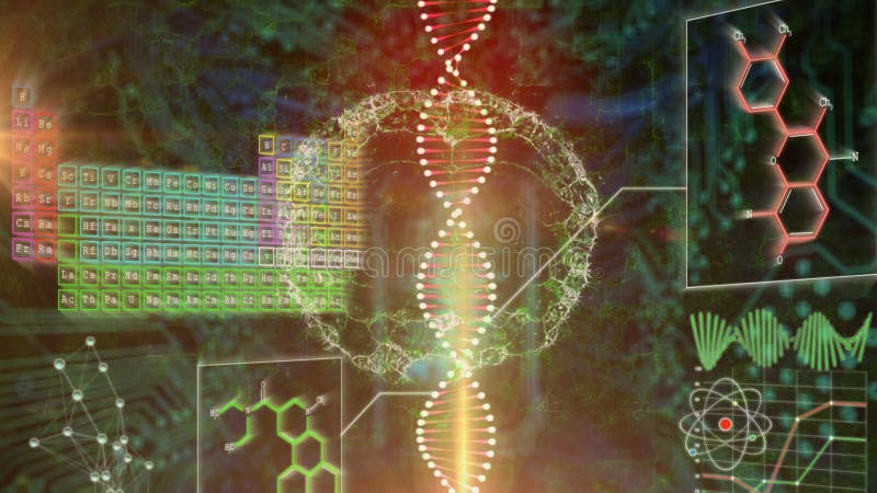 Animation of Human Brain Rotating, Dna with Infographic Data on Digital ...