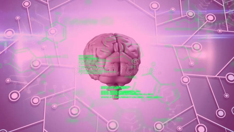 Animation of Human Brain and Scientific Data Processing Stock Video ...